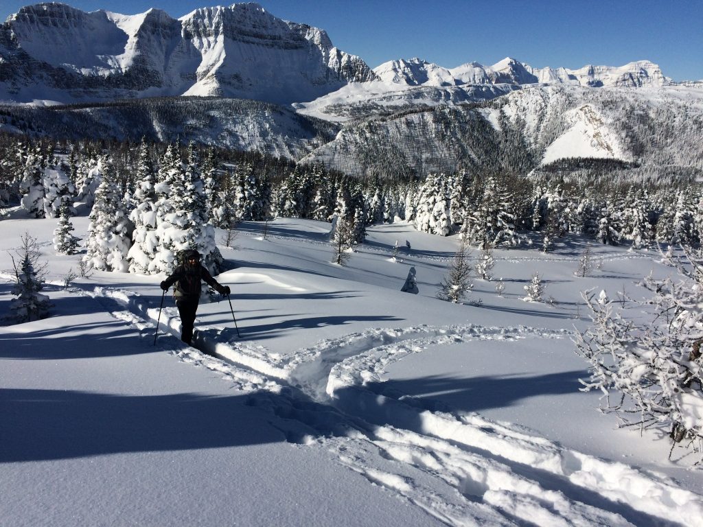 Alpine Club of Canada Toronto Section – Alpine Club of Canada Toronto ...